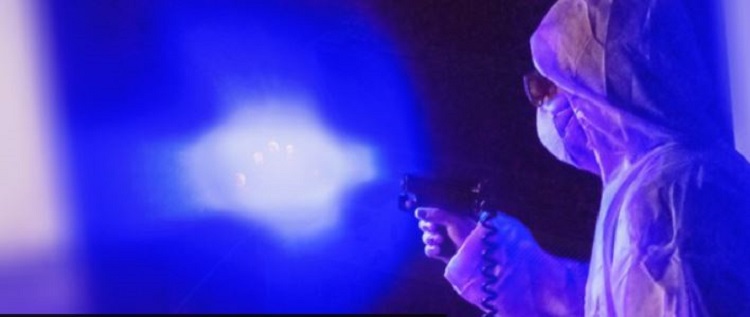 ForenteQ: ForenteQ offer a new product for evidence search the ...